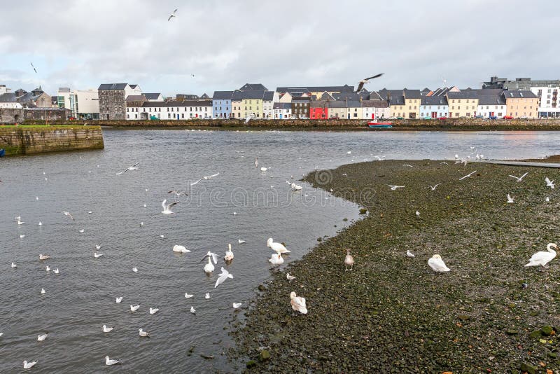 Claddagh stock photo. Image of blue, corrib, eire, fishingboat - 36445856