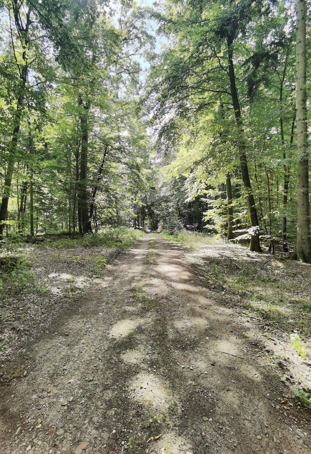 Claim To Be the First To Be the First One To Give You a New, Stock ...