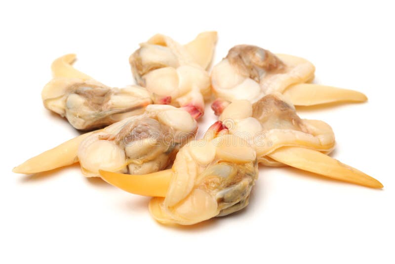 Meat stock photo. Image of produce, single, flavour, tasty - 33593558