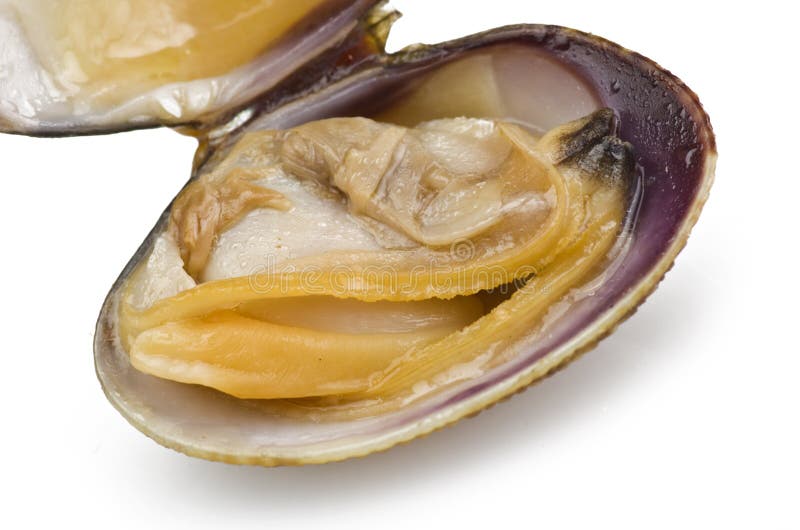 Open stock image. Image of closeup, shellfish, nutrition - 25909717