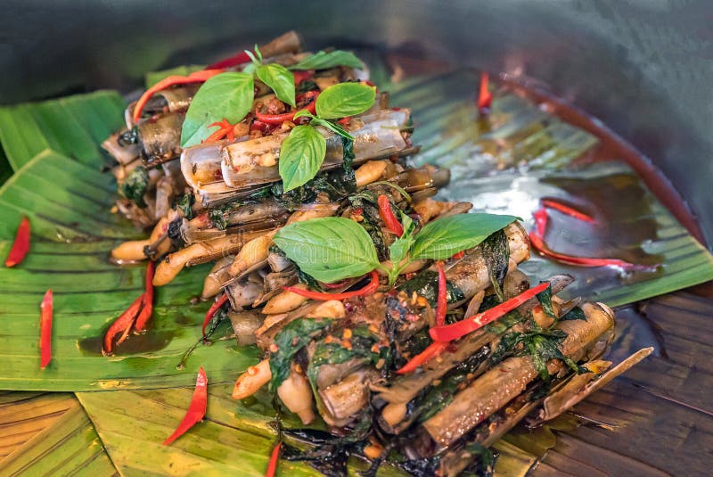 Razor shell stock photo. Image of sauce, green, chili - 127505754