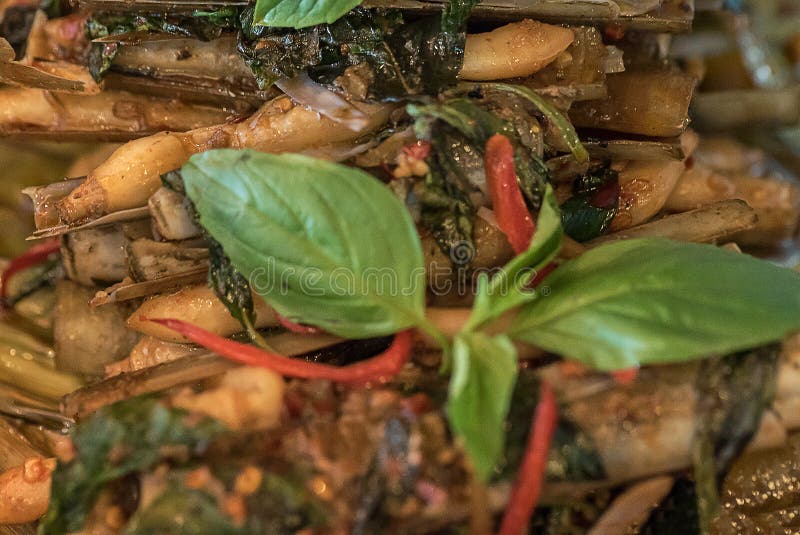 Razor shell stock image. Image of solenidae, restaurant - 84482069