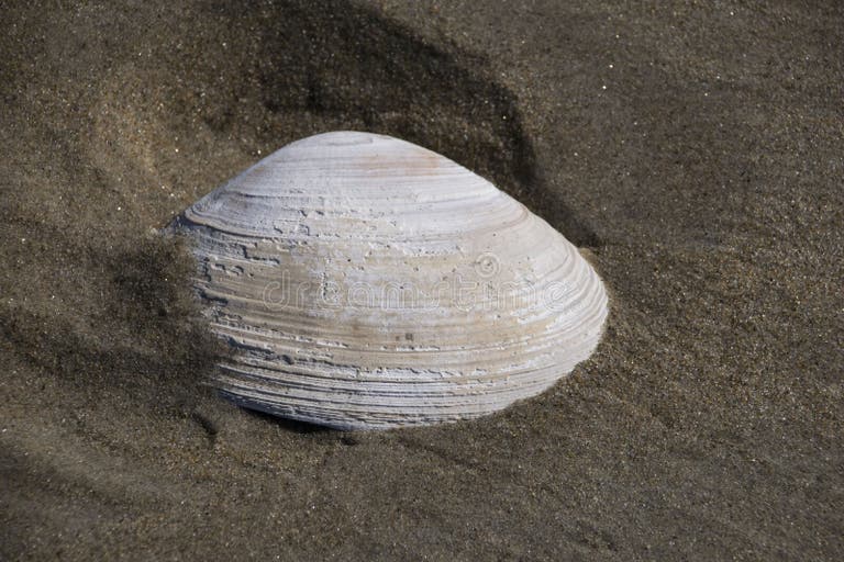 Seascapes Plum Stock Photos - Free & Royalty-Free Stock Photos from ...