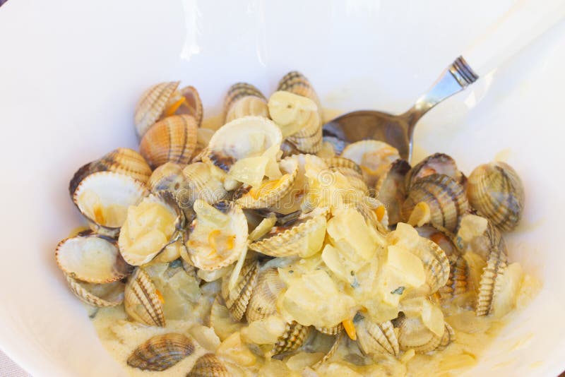 Shells stock image. Image of shellfish, delicious, dinner - 58215941
