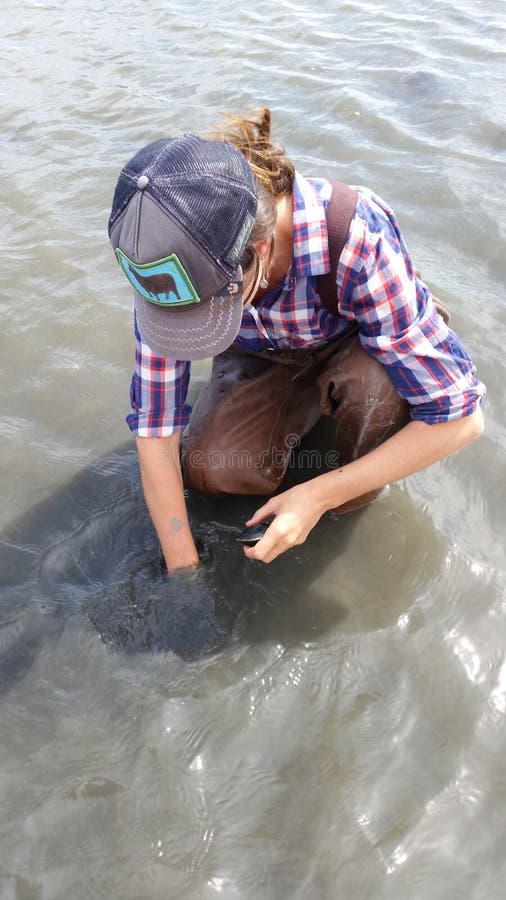 Clamming in Long Island Sound Editorial Photography - Image of summer ...