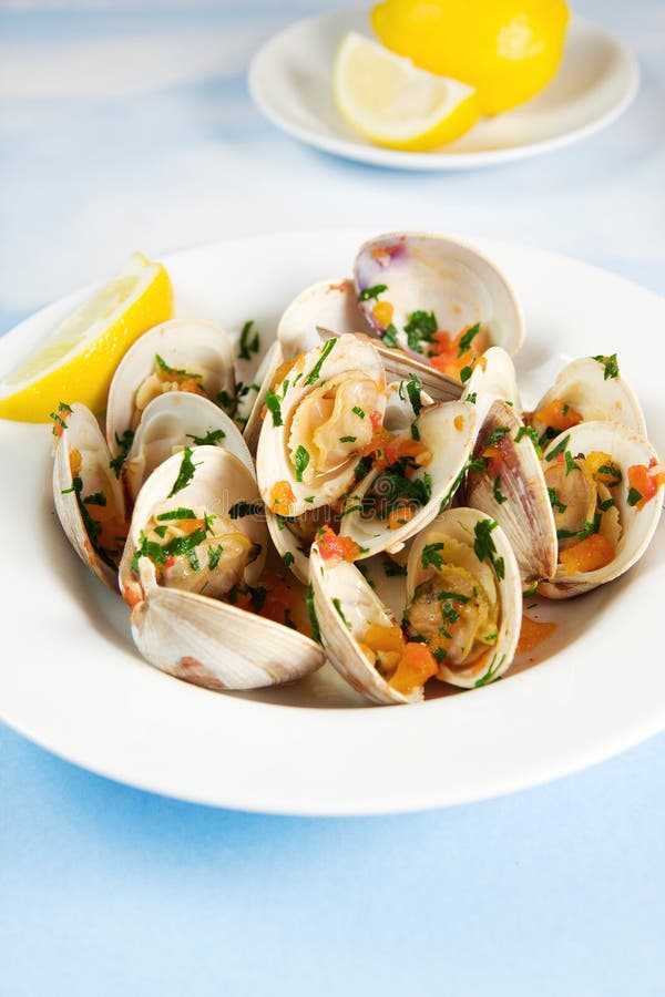 Clams stock photo. Image of tomato, plate, seafood, vegetable - 21079458