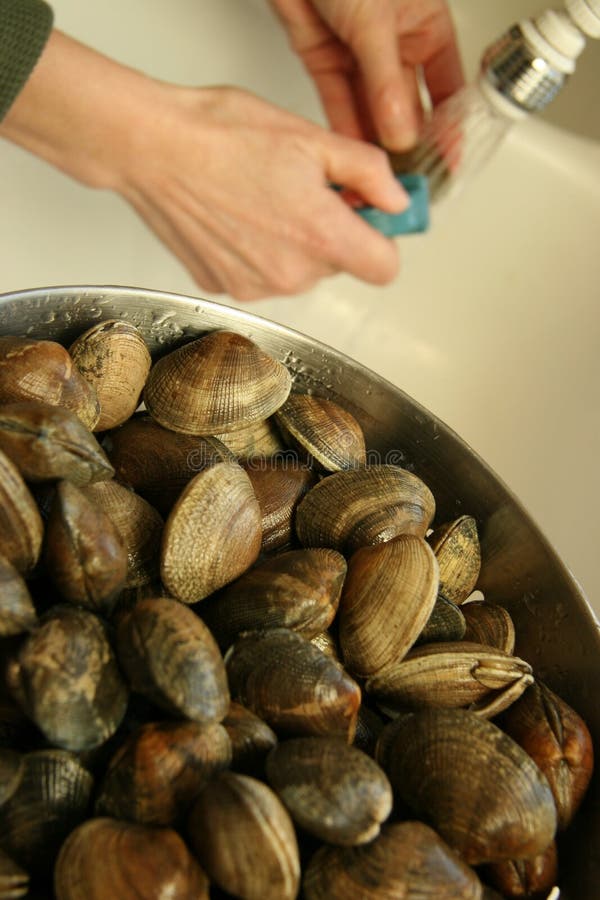 Hands and Clams at a Market in Cambodia Stock Image - Image of hands ...
