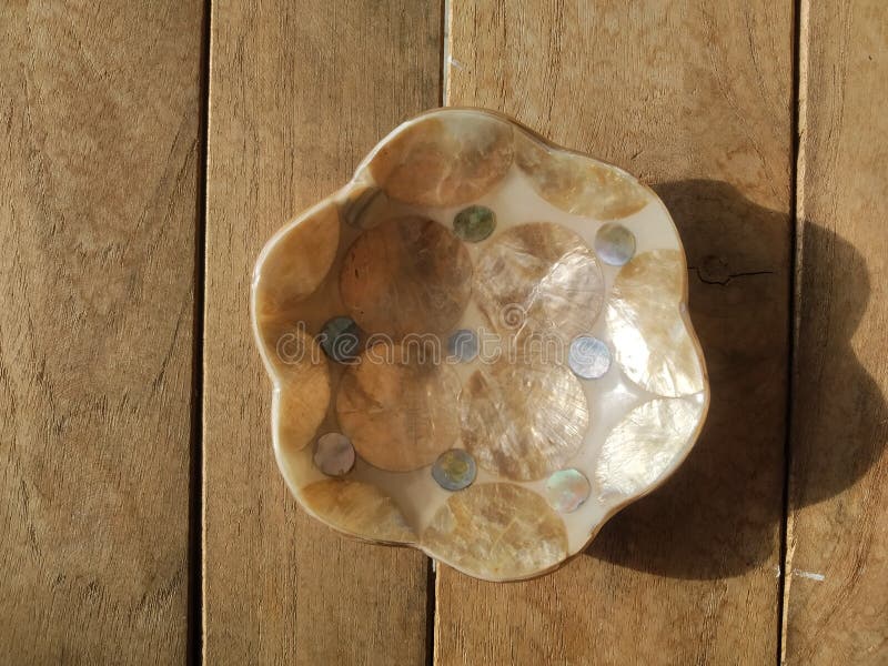 Clams in the Beautiful Flash Shell Stock Image - Image of shell, clams ...