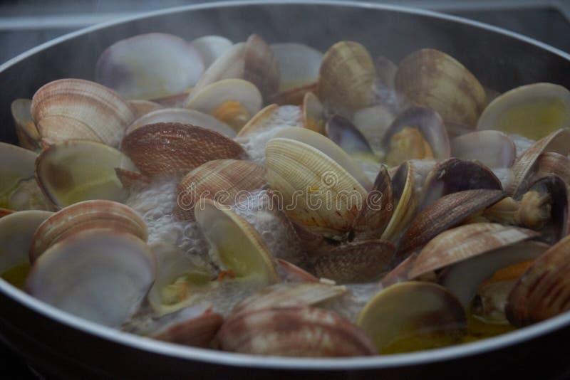 Clams very delicious food stock photo. Image of bivalve - 145763012