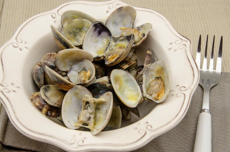 Clams stock image. Image of dish, diet, cooked, clams - 46141235