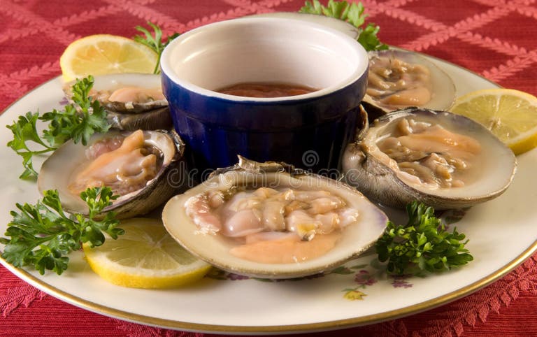 Clams on the half shell stock photo. Image of plate, shell - 11023180