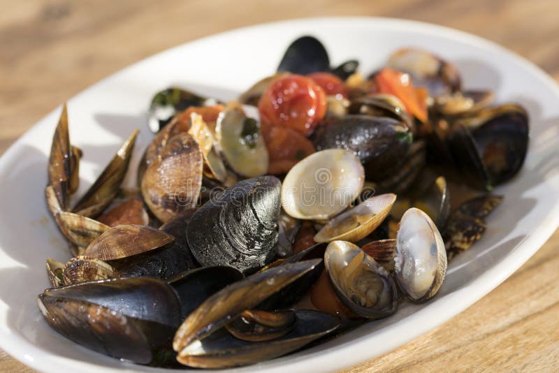 Clams and mussels stock photo. Image of garlic, cook - 48501656