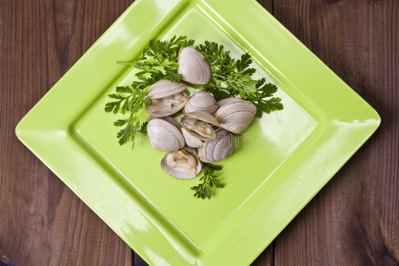 Clams stock photo. Image of traditional, gourmet, mollusks - 49512030