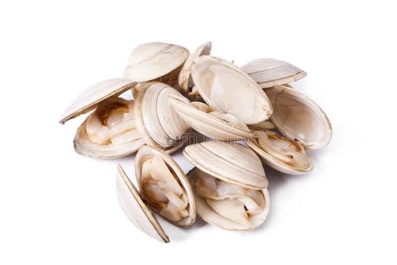 Clams, seafood stock image. Image of steamed, legs, market - 48004729