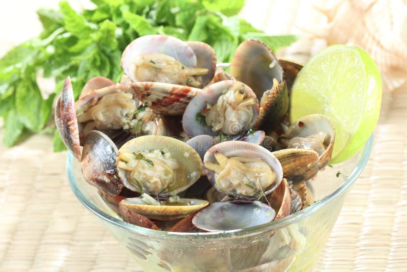 Clams Seasoned with Salt and Herbs Stock Photo - Image of dishware ...