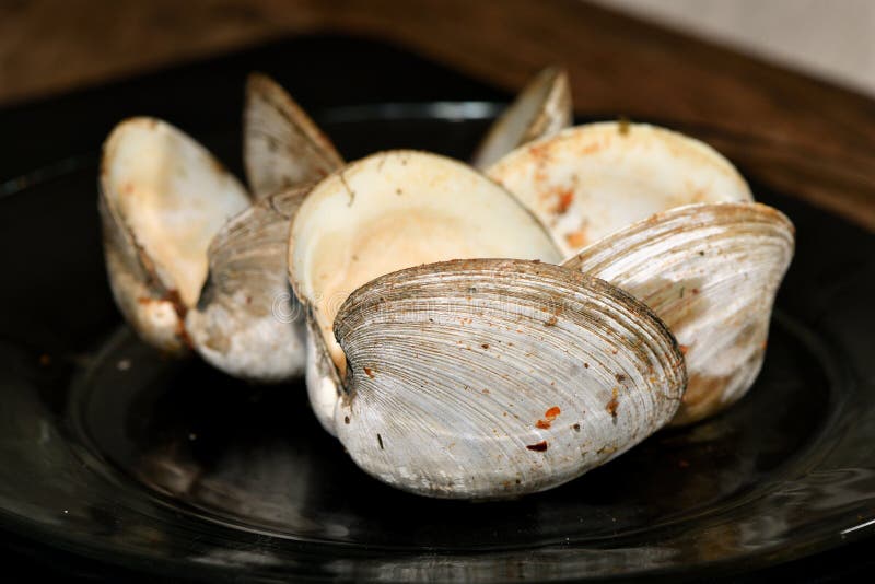 Clams Shells on a Glass Plate Stock Photo - Image of invertebrate, fish ...