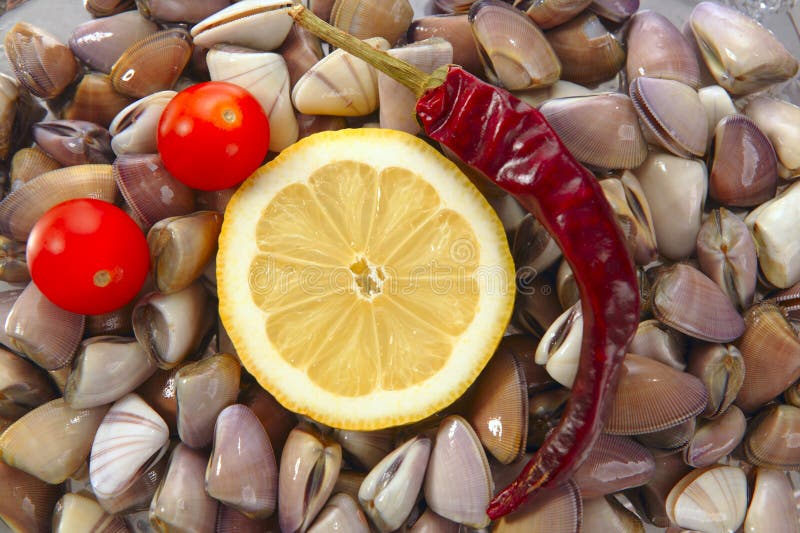 Clams, Tellin Seafood Close Up Stock Photo - Image of fresh, color: 9561052