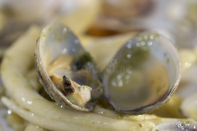 Clams stock photo. Image of wood, cooked, spaghetti, clams - 48501576