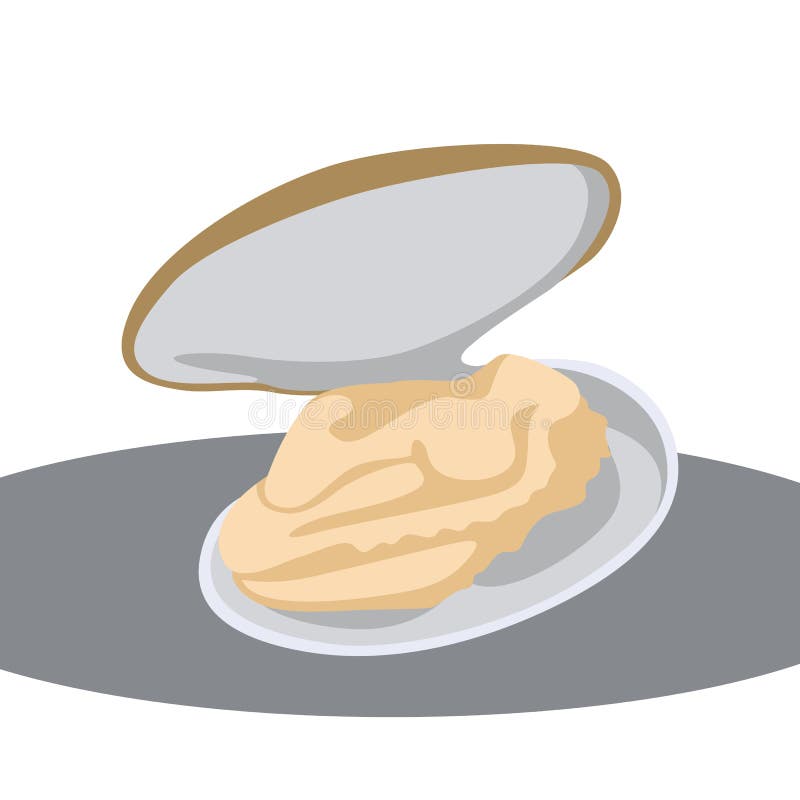 Clams Vector Illustration Flat Style Front Side Stock Vector ...