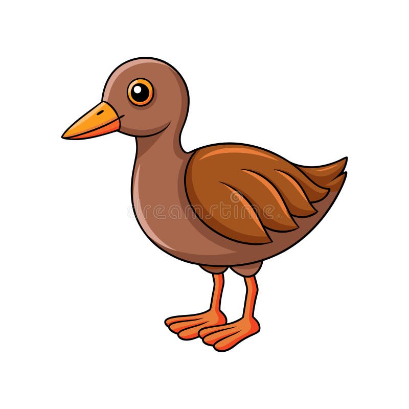 Clapper Rail Bird Realistic Illustration Stock Illustration ...