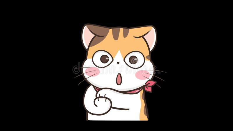 Clapping Cat Animation with Transparent Background Stock Video - Video ...