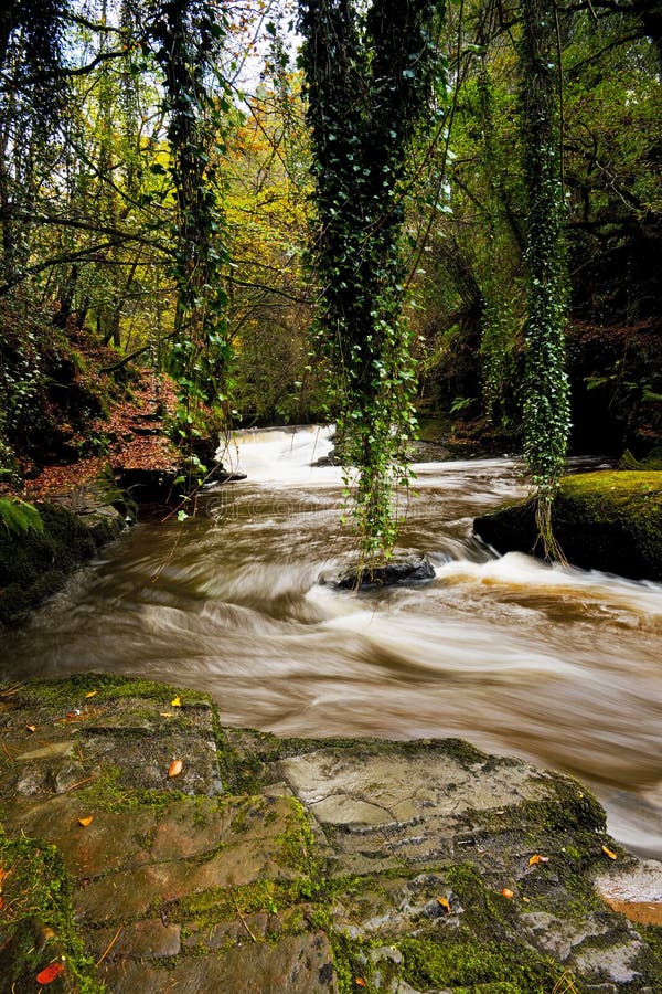 Clare River stock photo. Image of water, irish, landscape - 11944280
