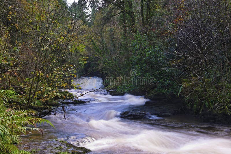 Clare River stock photo. Image of ireland, water, rock - 11944196
