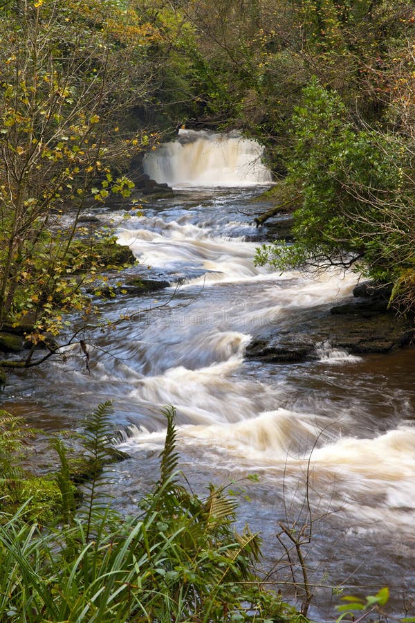 Clare River stock photo. Image of water, irish, landscape - 11944280