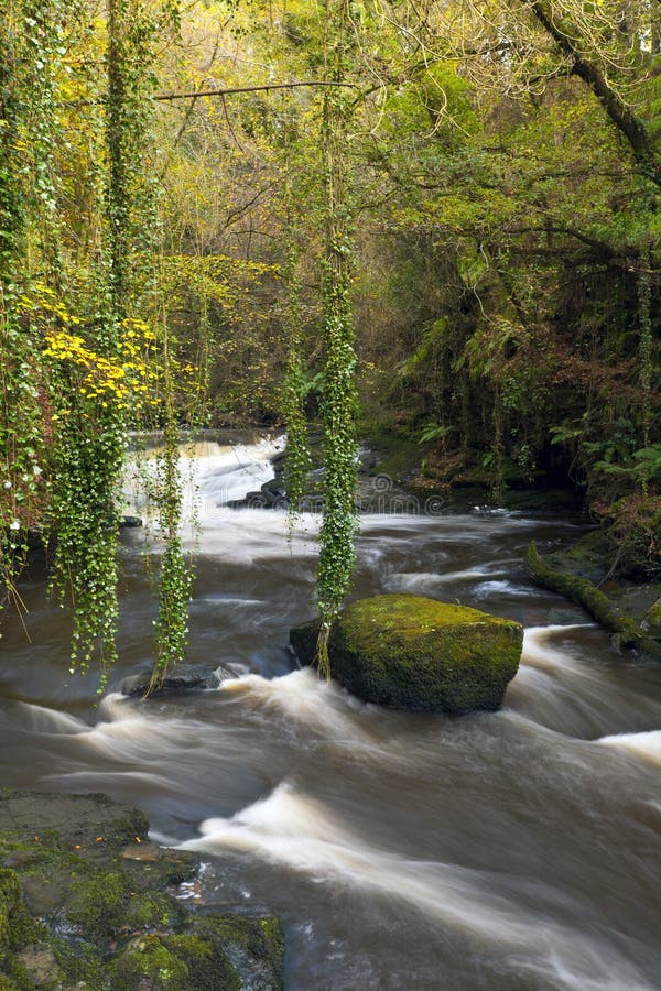 Clare River stock photo. Image of ireland, water, rock - 11944196