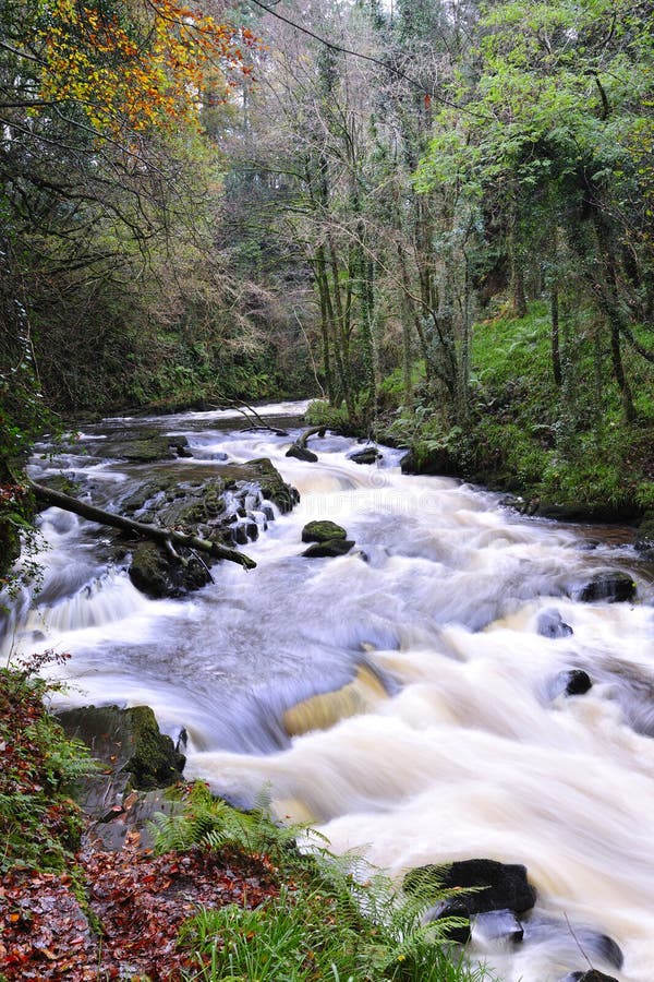 Clare River stock photo. Image of water, irish, landscape - 11944280