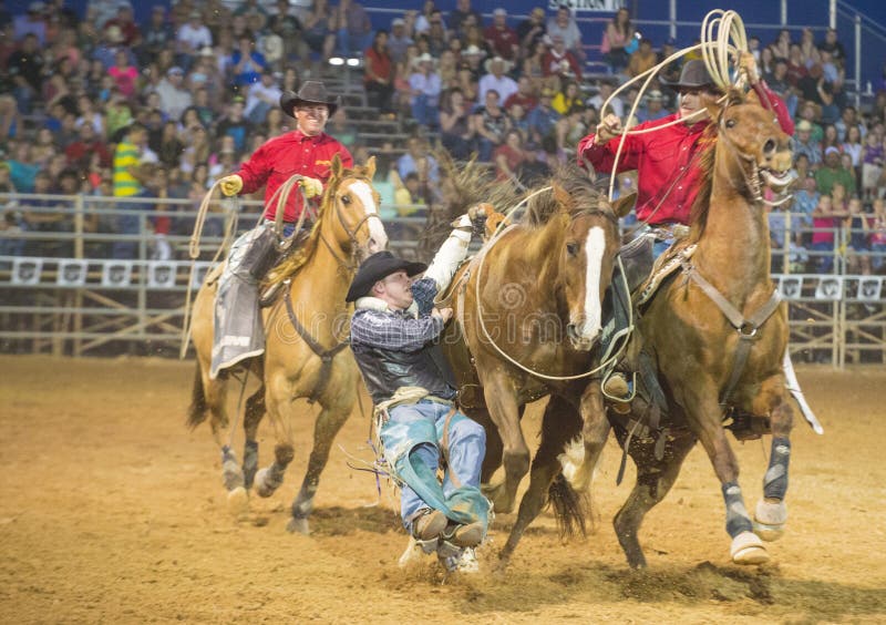 Rodeo Di Giorni Di Helldorado Fotografia Editoriale - Immagine di ...