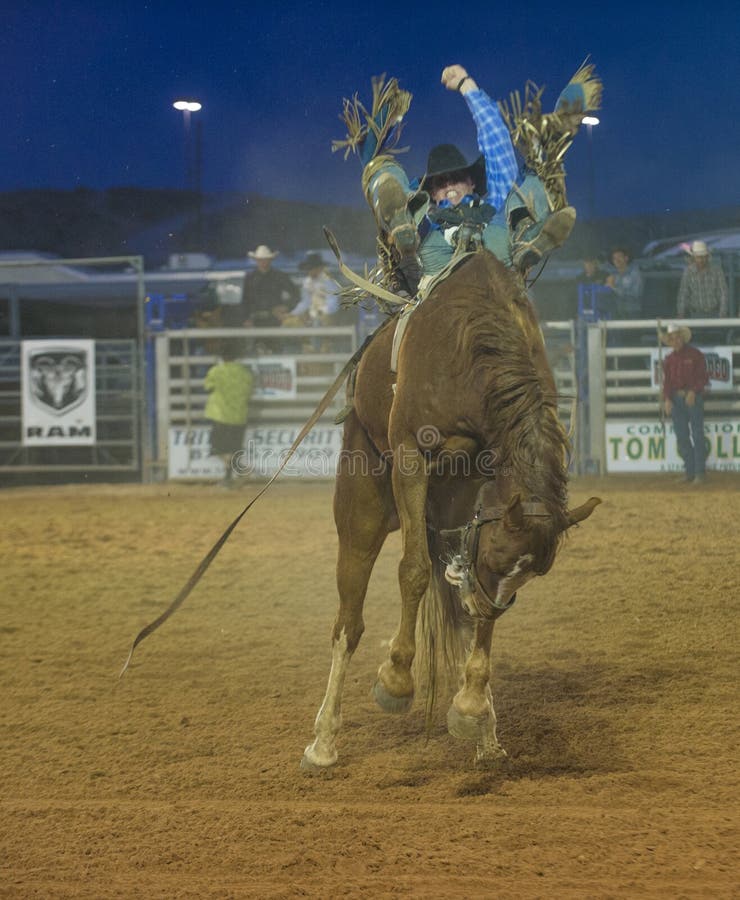Clark County Fair Y El Rodeo Foto editorial - Imagen de rodeo ...