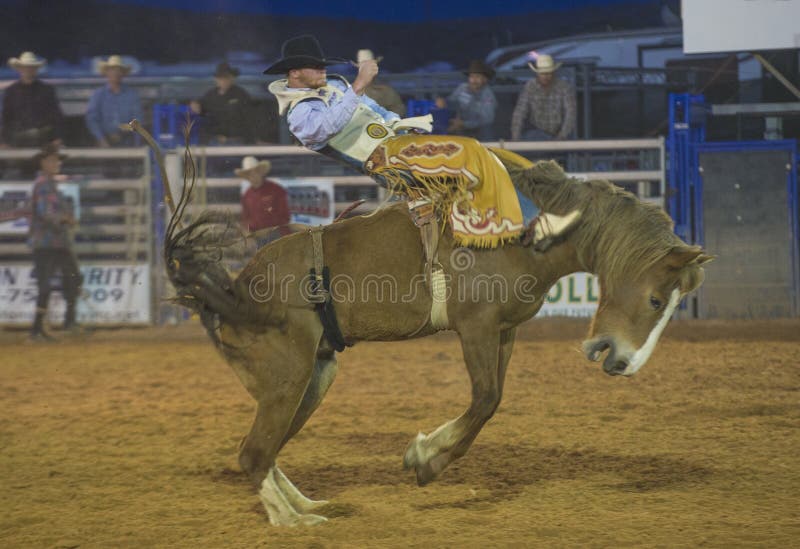 Clark County Fair Y El Rodeo Foto de archivo editorial - Imagen de ...