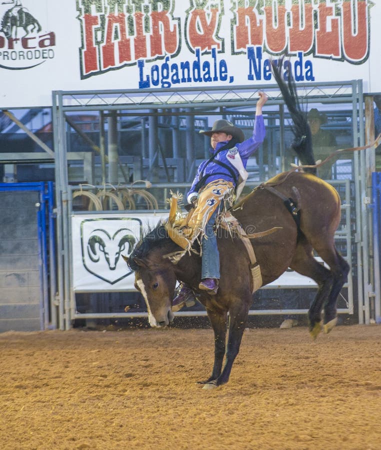 Clark County Fair Y El Rodeo Imagen editorial - Imagen de ganado ...