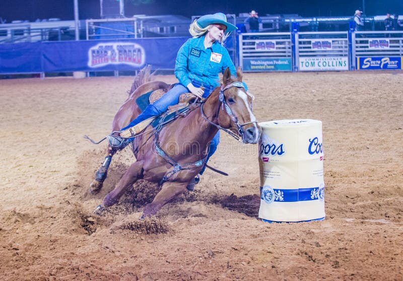 Clark County Fair y rodeo imagen de archivo editorial. Imagen de ganado ...