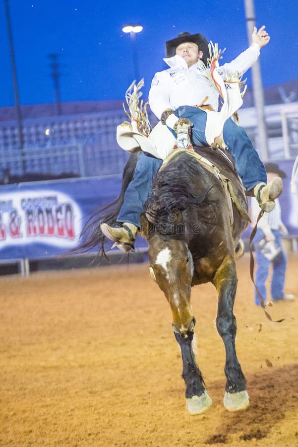 Clark County Fair y rodeo foto de archivo editorial. Imagen de ...