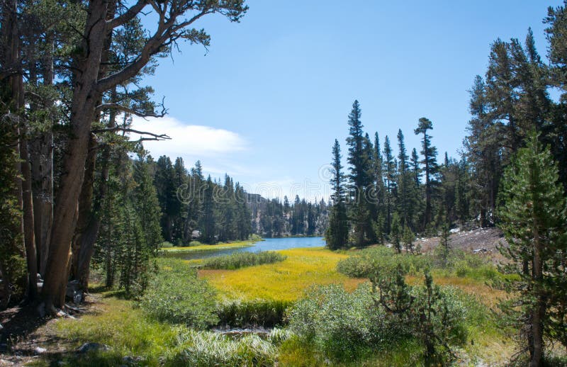 Clark Lakes Su John Muir Trail Immagine Stock - Immagine di alberi ...