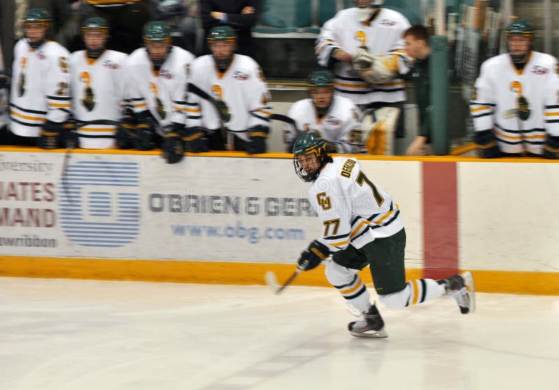 Clarkson University Player in NCAA Hockey Game Editorial Stock Image ...