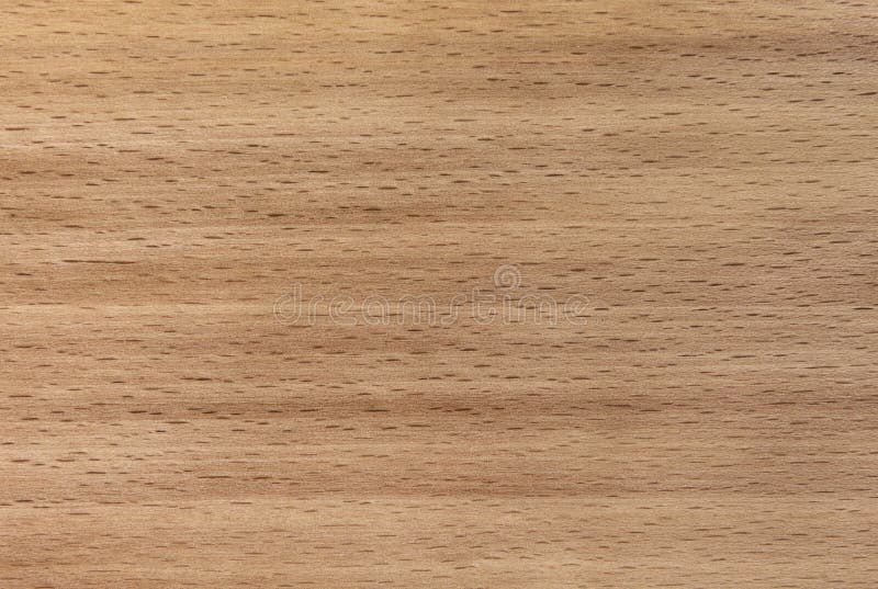 Claro - Textura Marrom Da Madeira De Faia Foto de Stock - Imagem de ...