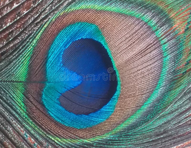 Clash of colours stock image. Image of decorated, blue - 160566599