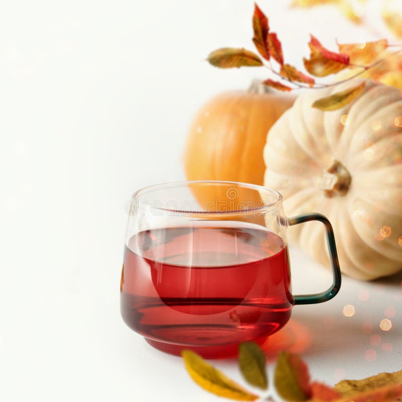 Class Cup with Autumn Tea on White Background with Pumpkins and Autumn ...