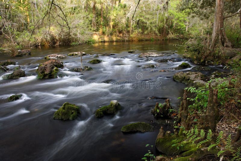 Rapids, Hillsborough River stock image. Image of river - 14255815