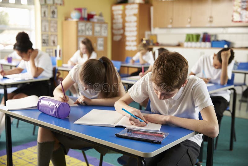Class of Primary School Kids Studying during a Lesson, Close Up Stock ...
