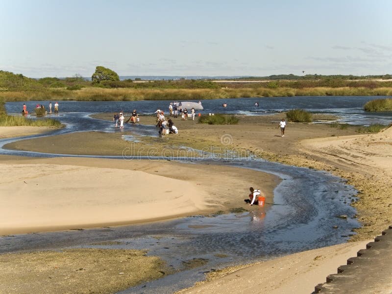 Class Trip stock image. Image of sand, clamming, clouds - 273429