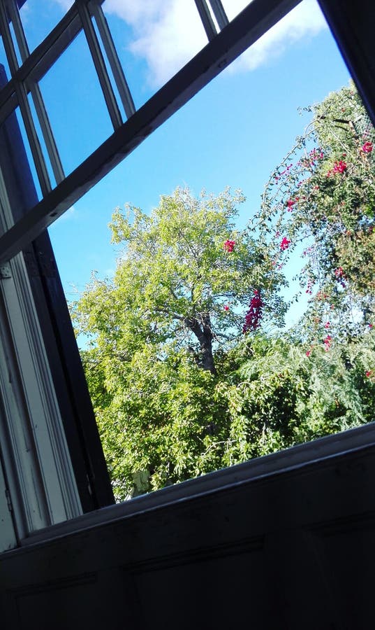 Class window stock image. Image of blue, summer, window - 85675201