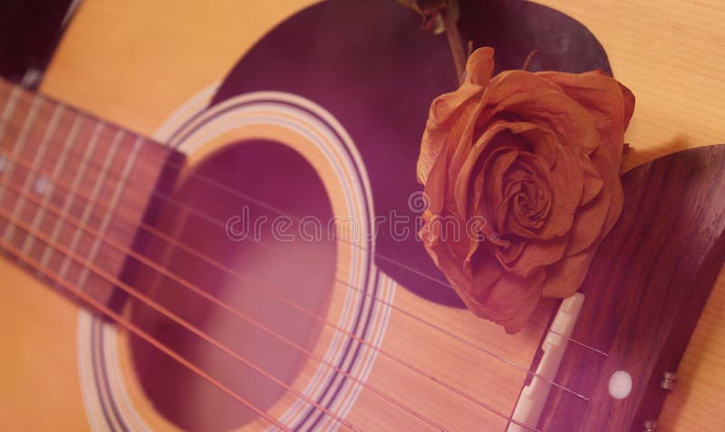 Classic Acoustic Guitar with Dried Rose on Guitar Stock Photo - Image ...