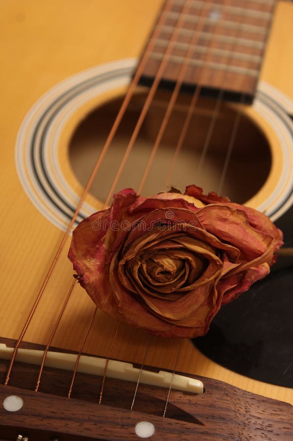 Classic Acoustic Guitar with Dried Rose on Guitar Stock Image - Image ...