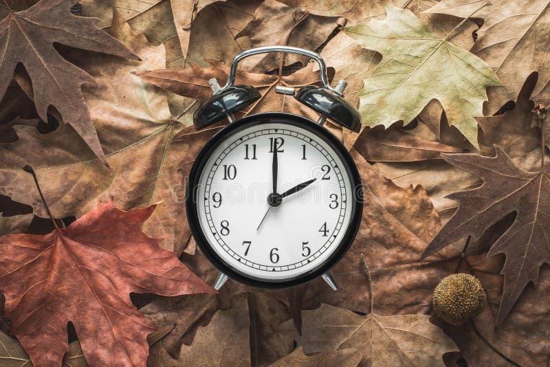 Classic Alarm Clock on Autumn Leaves Stock Photo - Image of transition ...