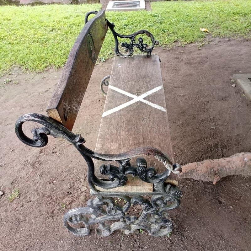 Classic bench in a park stock photo. Image of soil, plant - 243354854