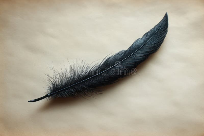 Classic Black Quill Pen Resting on Textured Paper with Writing Stock ...
